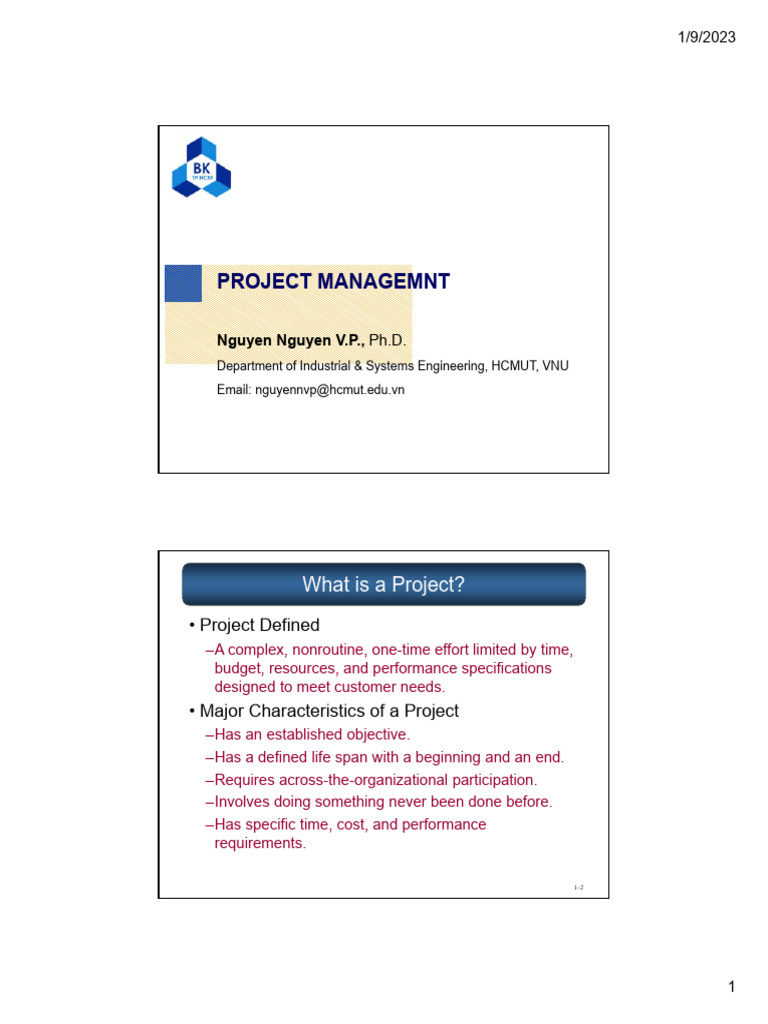 Understanding Project Management Basics | PDF