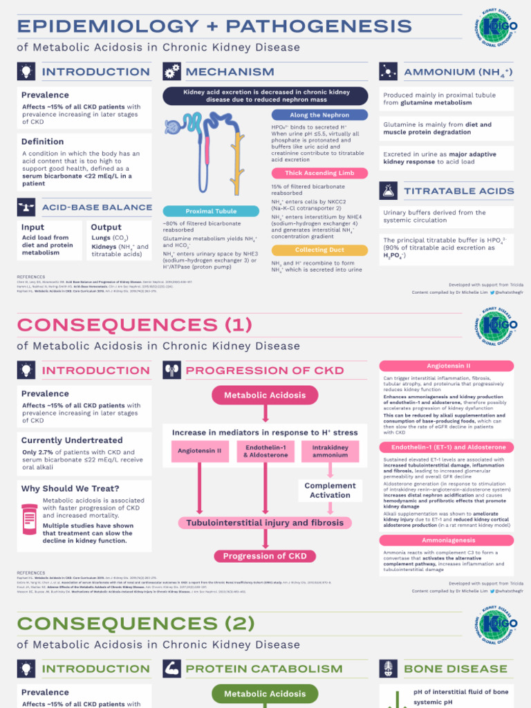 KDIGO Metabolic Acidosis Infographic Set 2022 | PDF