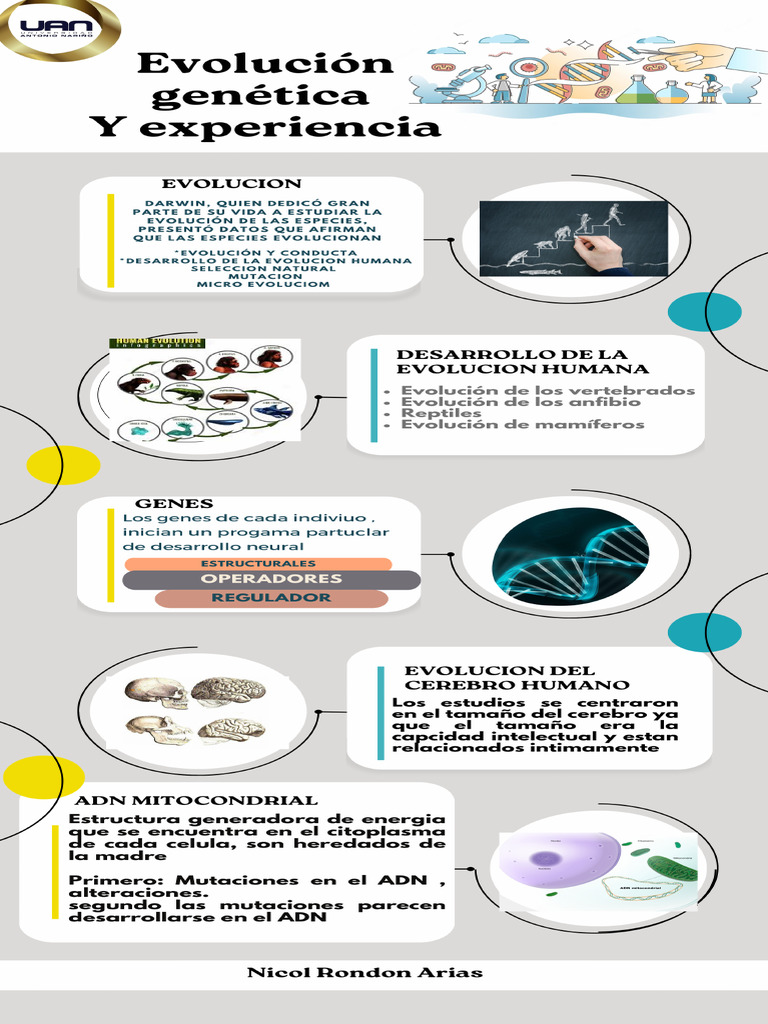 infografia evolucion genetica | PDF