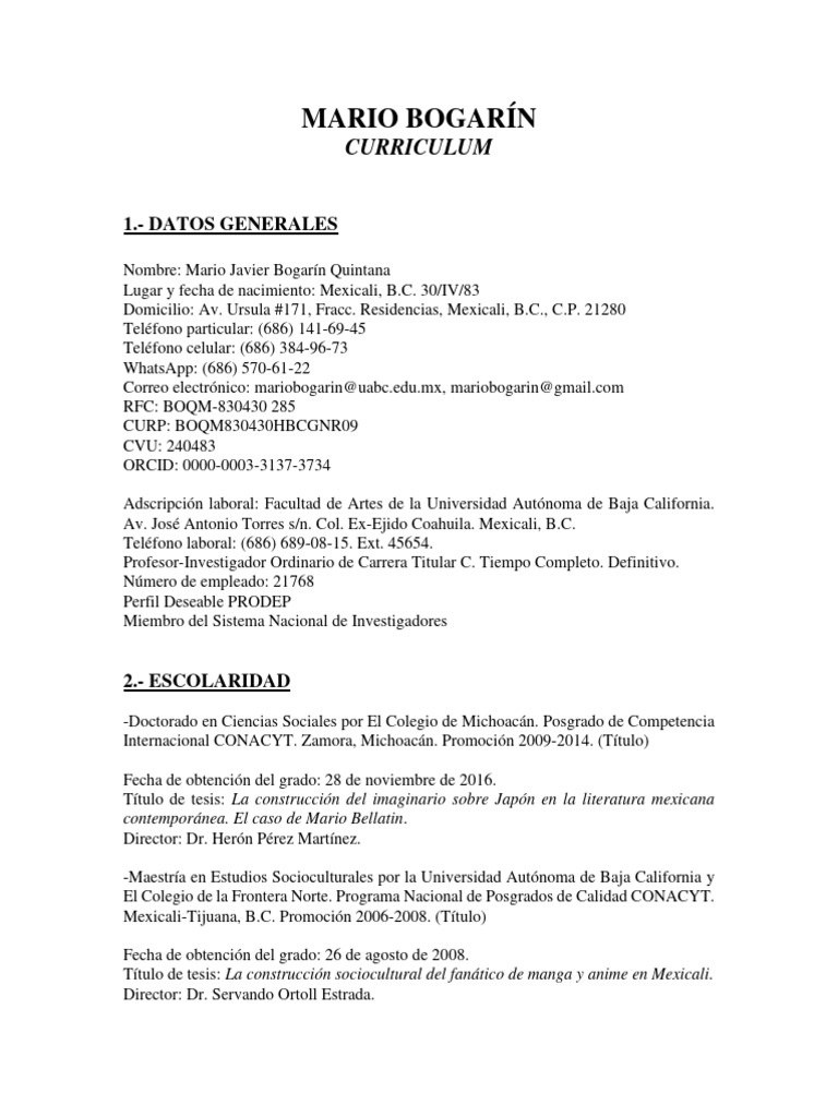 CV - Mario Bogarín-1 | PDF