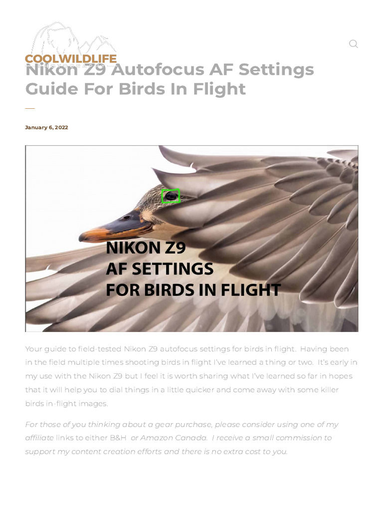 Nikon Z9 Autofocus AF Settings Guide For Birds in Flight | PDF