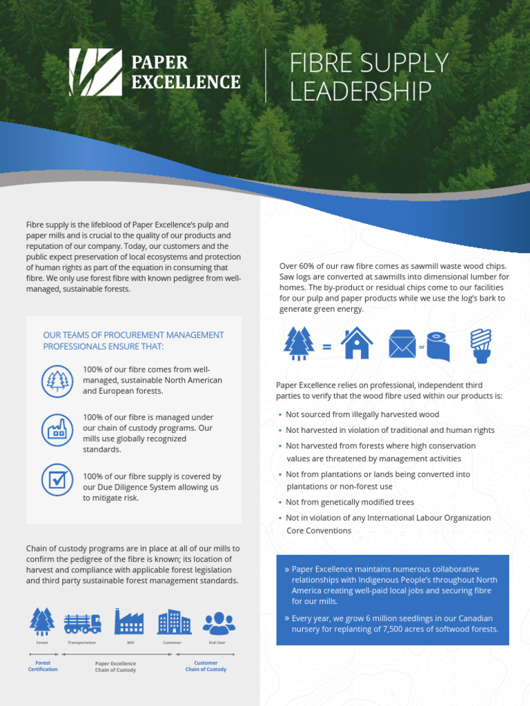 Paper Excellence - Fibre Supply Leadership Information | PDF