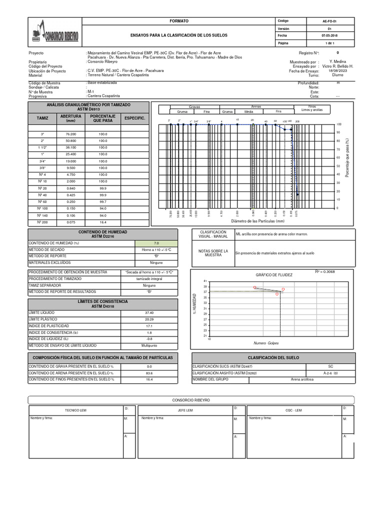 Formatos de Laboratorio | PDF