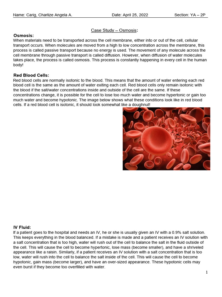 PeTa 1 Case Study (BIO) | PDF | Osmosis | Cell Biology