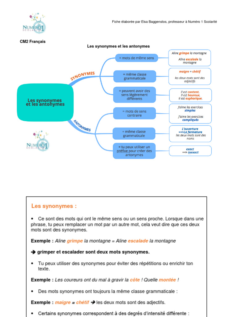 Les Synonymes Et Les Antonymes | PDF