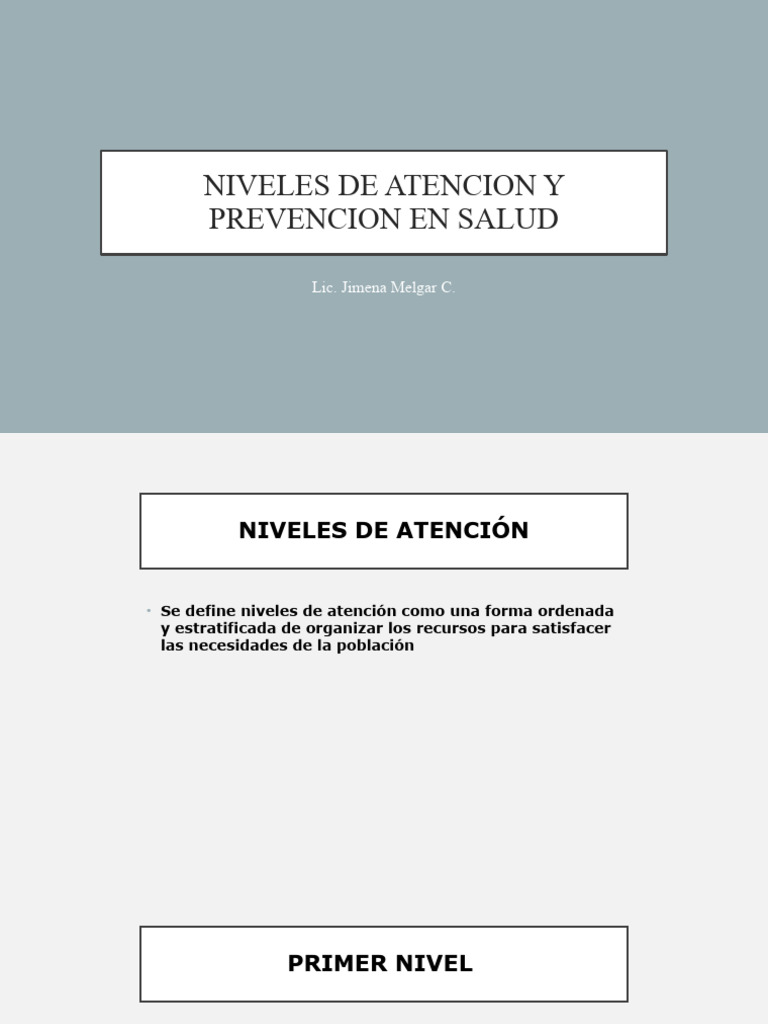 2 Niveles De Atencion Y Prevencion En Salud Pdf