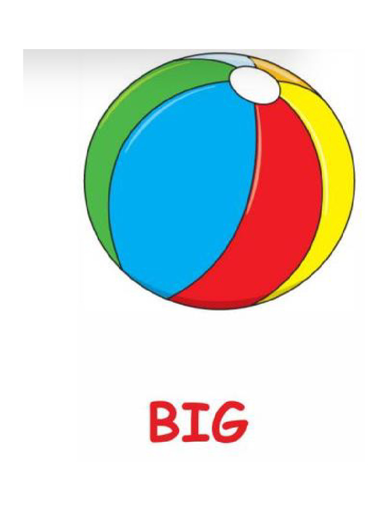 Big-Small Flashcards | PDF