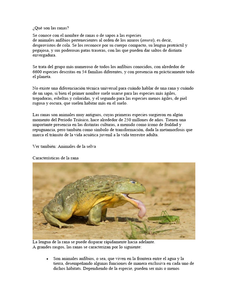 Las ranas | PDF