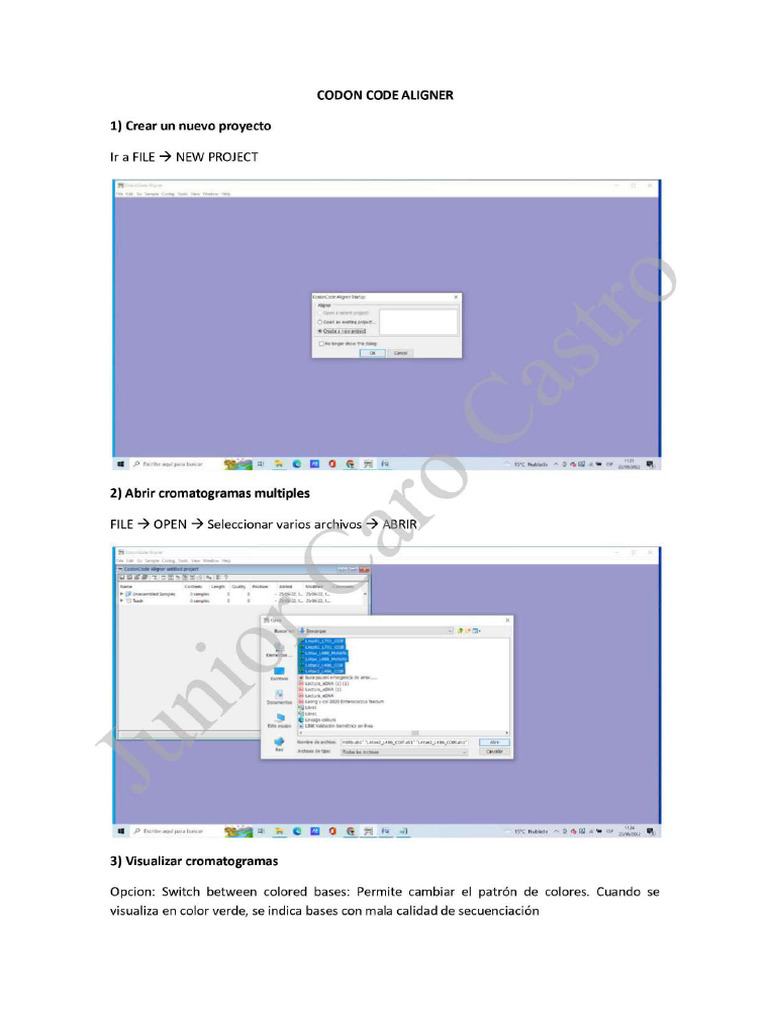 PRÁCTICA 7 Guia - Codon Code Aligner - Bioedit JCaro | PDF