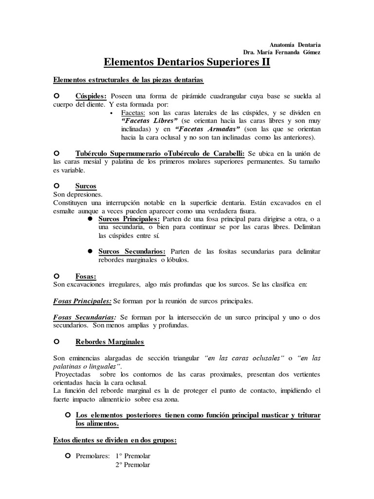 Elementos Dentarios Post Sup | PDF | Ramas de Odontología | Boca