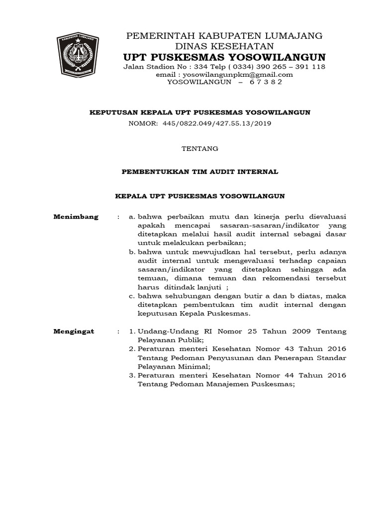 Pembentukan Tim Audit Internal Puskesmas | PDF | Bisnis | Pengelolaan ...