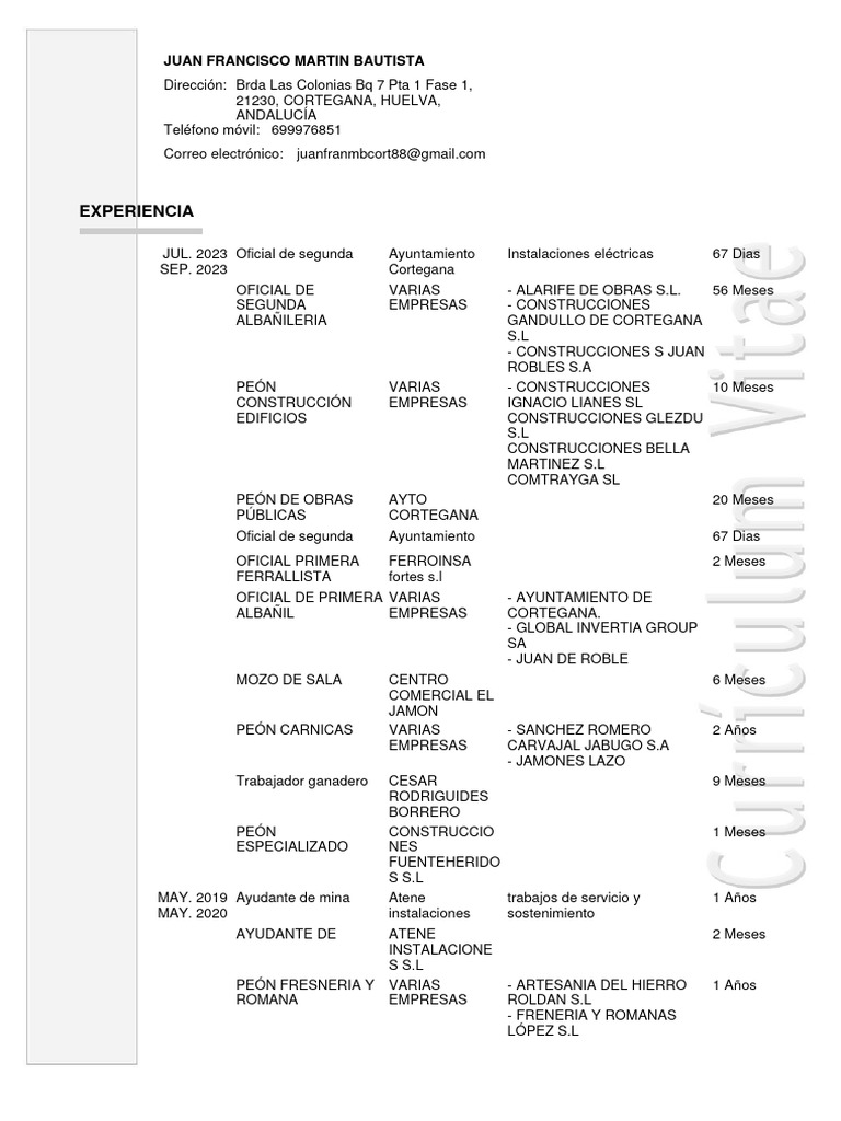 Curriculum Vitae Juan Francisco | PDF