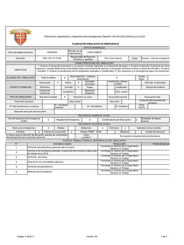 Formato de Simulacro | PDF