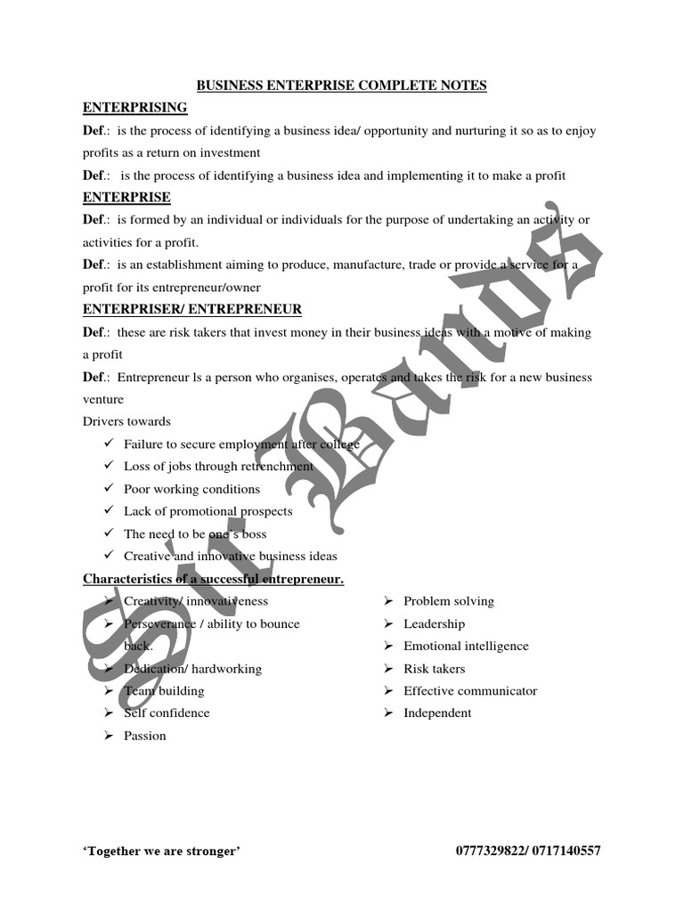 'O' Level Business Enterprise Skills (Enterprise Full Notes) | PDF