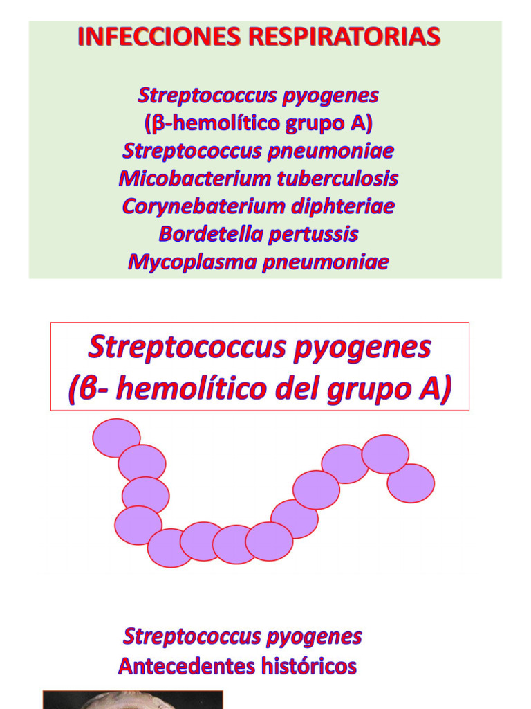 Sesión 3 Streptococcus pyogenes- COPIA- para sesión 2020 | PDF