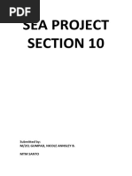 C-29 Seafarers Appraisal Report | PDF