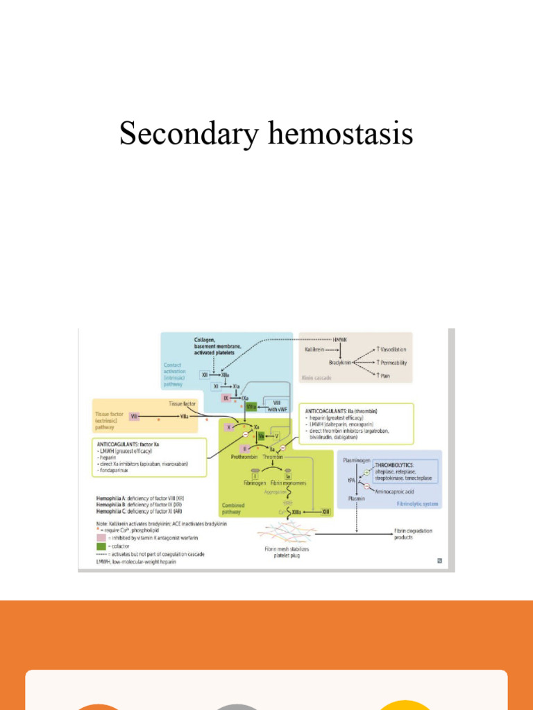 Secondary Hemostasis | PDF | Coagulation | Macromolecules