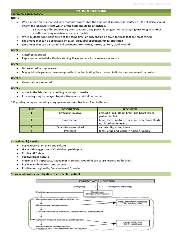 Bacte Lab Specimen Processing | PDF Bacte Lab Specimen Processing | PDF