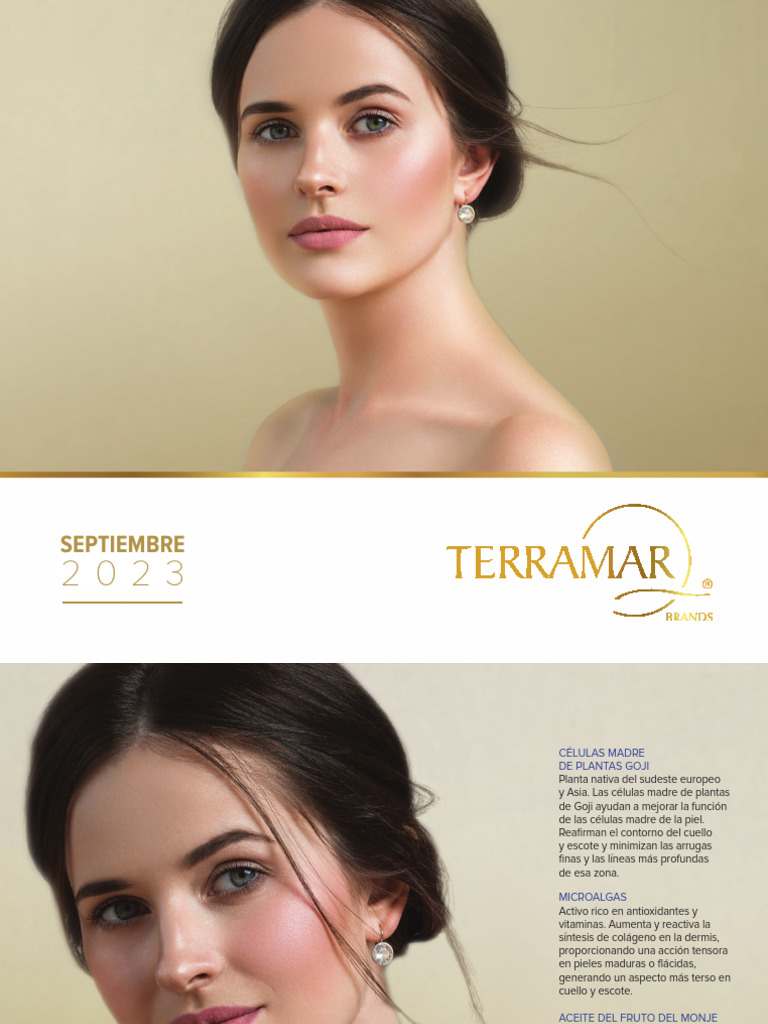 Folleto de Mes 230904 162114 | PDF | Petróleo