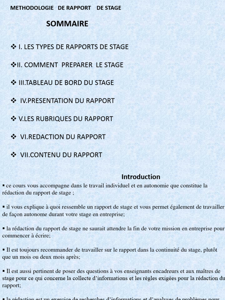 Rapport de Stage | PDF | Ponctuation | Business