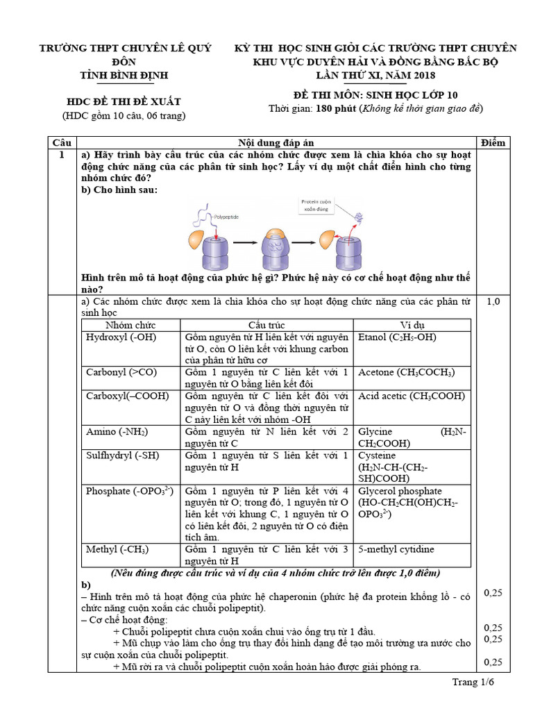 (Lib24.vn) Dap-An-De-Thi-Chon-Hsg-Sinh-Hoc-Duyen-Hai-Dong-Bang-Bac-Bo-Sinh-10-Nam-Hoc-2017-2018 ...