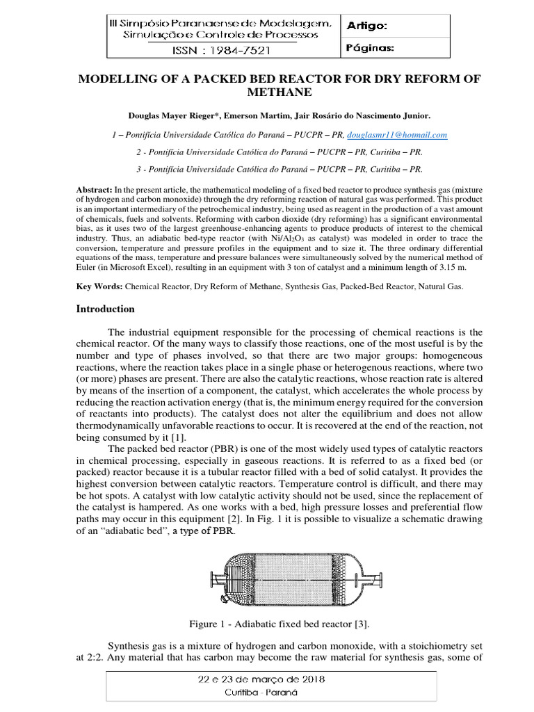 MODELLING OF A PACKED BED REACTOR Equipo Suri 7 y Equipo Dana 5 | PDF | Chemical Reactor ...