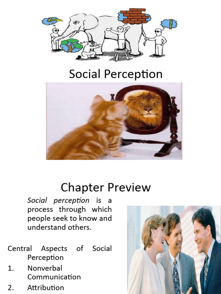 Understanding Social Perception Dynamics | PDF | Self-Improvement