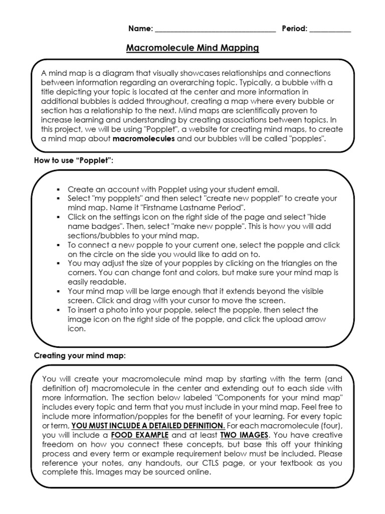 Macromolecule Mind Mapping Handout | PDF