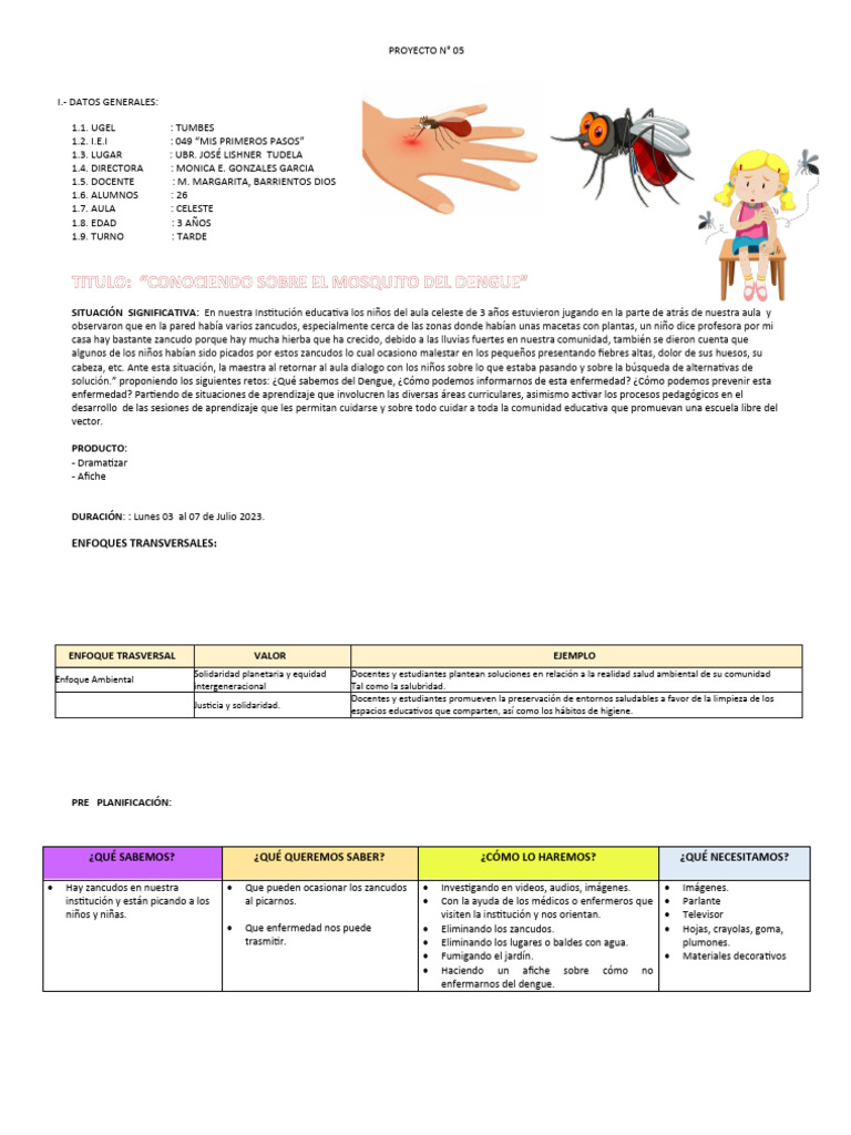 Proyecto #05 Dengue. | PDF