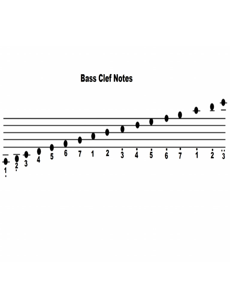Bass Clef Notes | PDF
