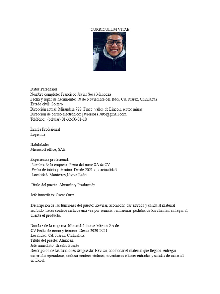 CV Javier Sosa Actualizado | PDF