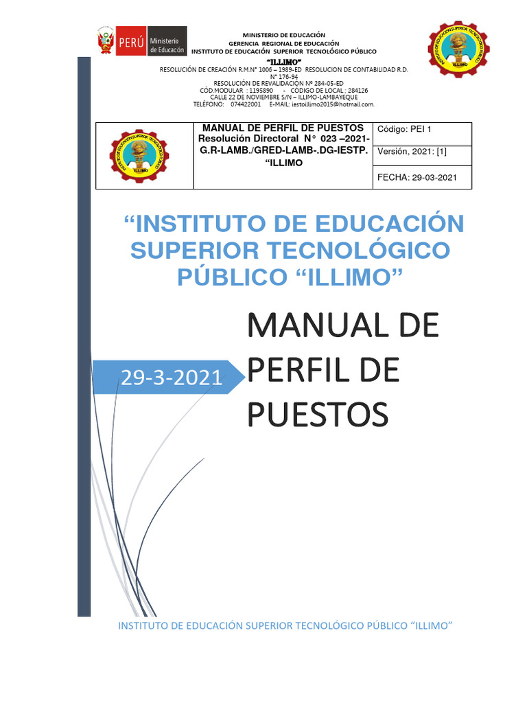 Manual de Perfil de Puestos 2021 | PDF