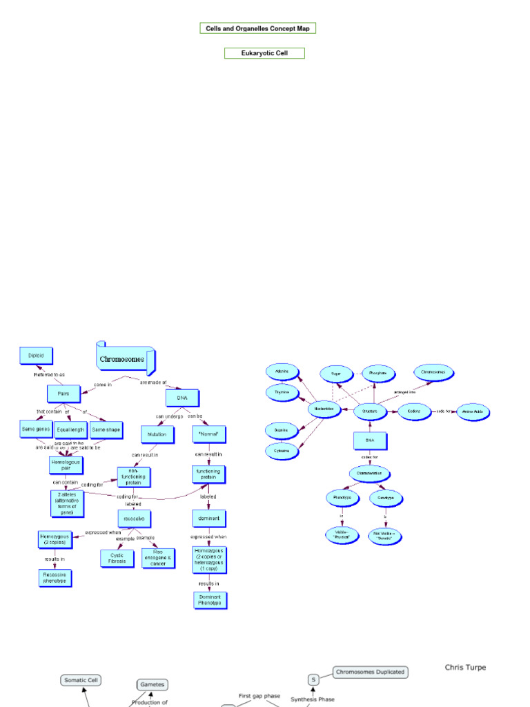 Cytogenetics-Concept-map | PDF