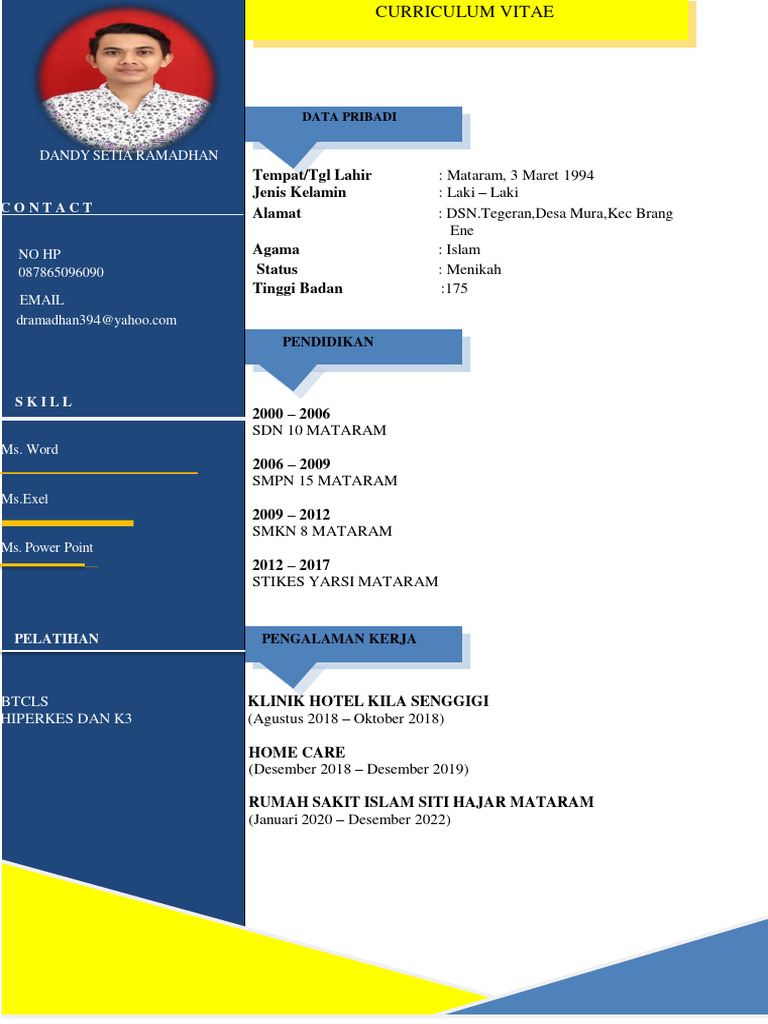 CV Dandy Setia Ramadhan | PDF