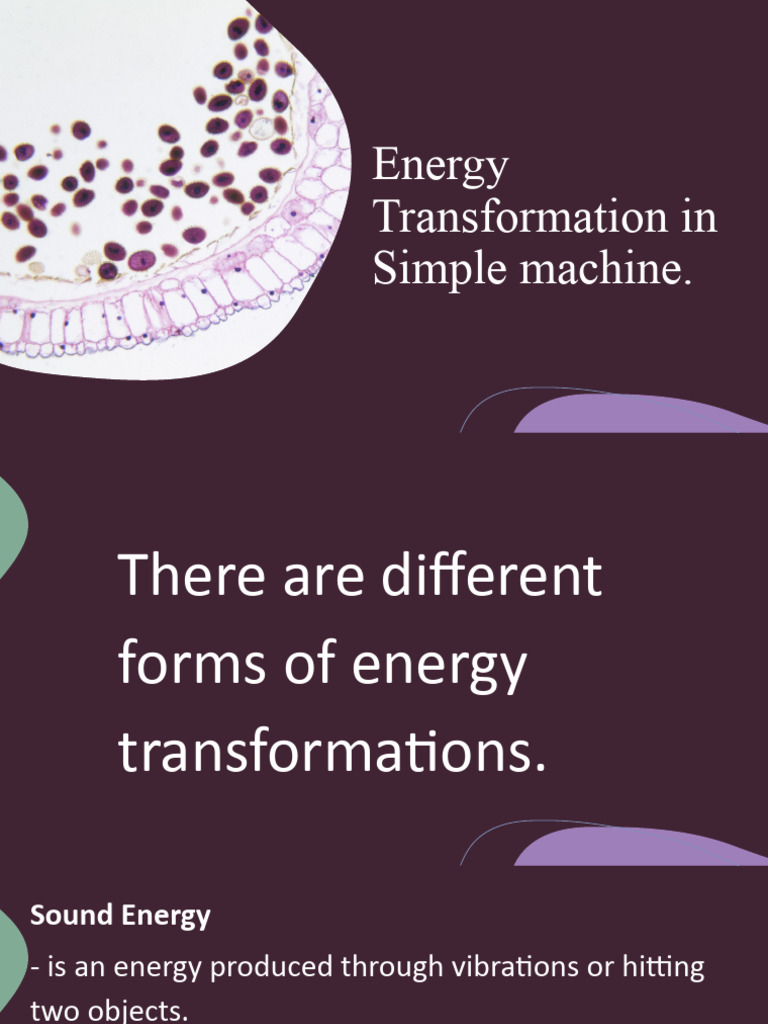 Energy Transformations in Simple Machines | PDF
