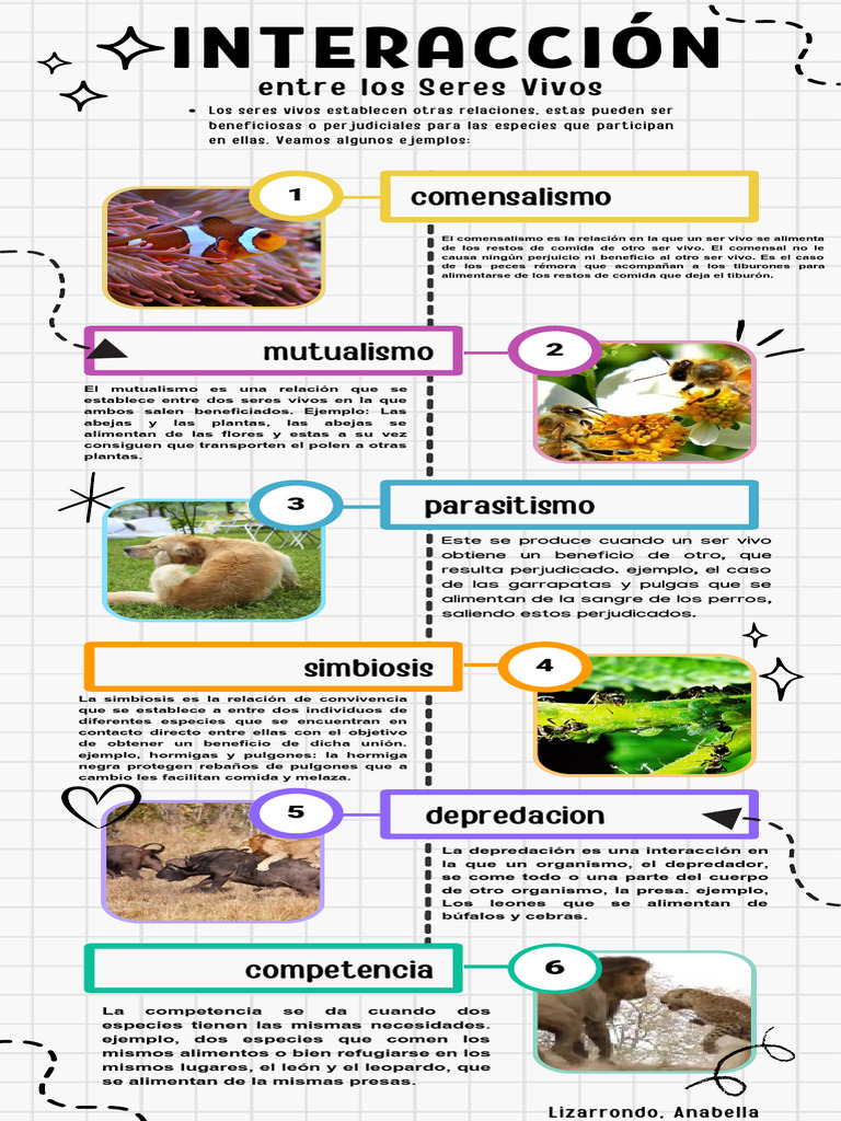 Infografía Interaccion de Seres Vivos | PDF