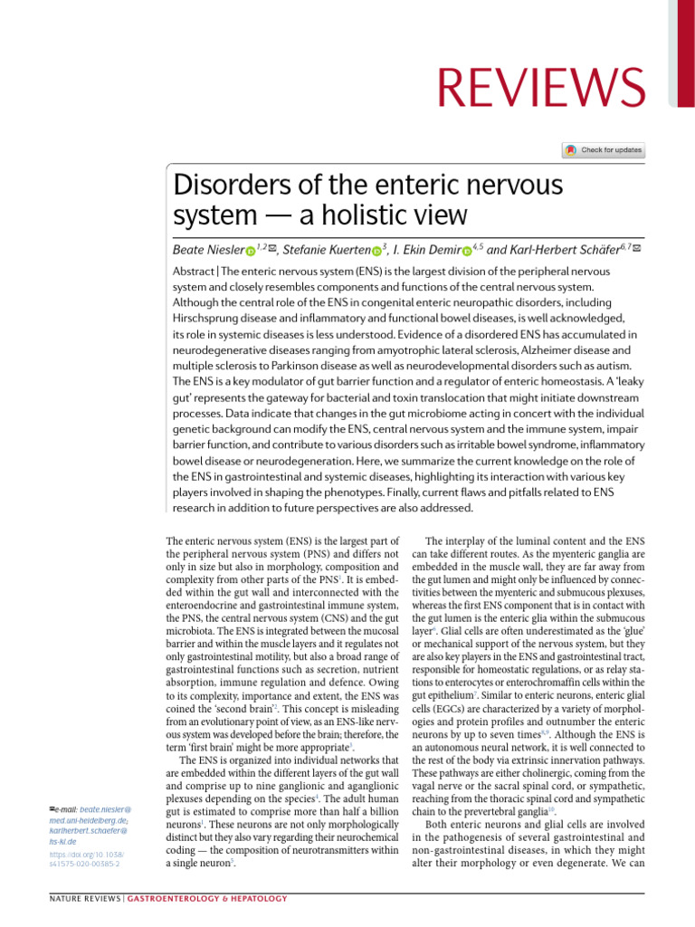 Leaky Gut in Autism | PDF | Gastrointestinal Tract | Irritable Bowel ...