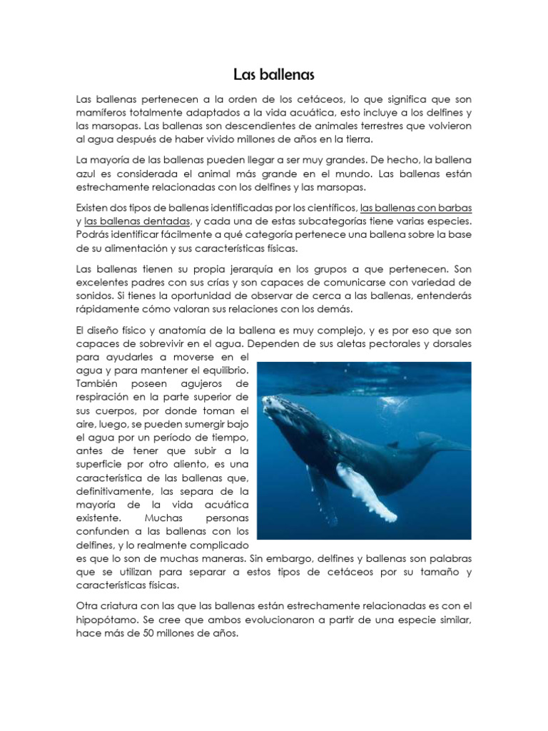 Las Ballenas | PDF