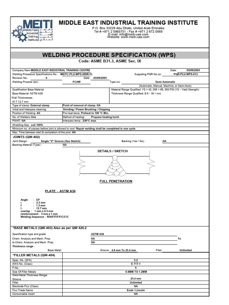 WPS Format Sample-01 | PDF