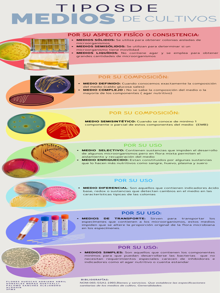 Infografía Tipos de Medios de Cultivo | PDF | Técnicas de laboratorio ...