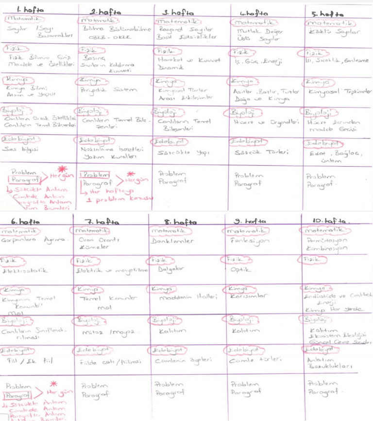 TYT Calisma Programi Sayisal | PDF