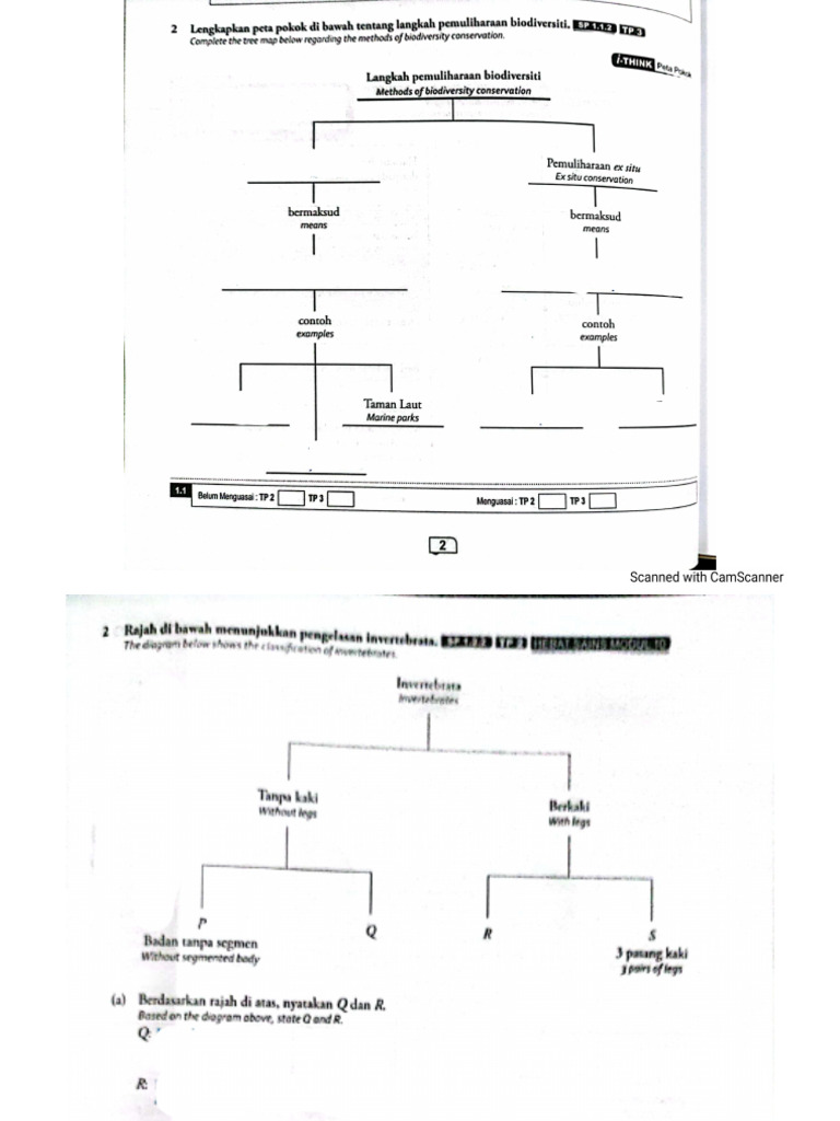 Latihan Ting 2 Bab 1 | PDF