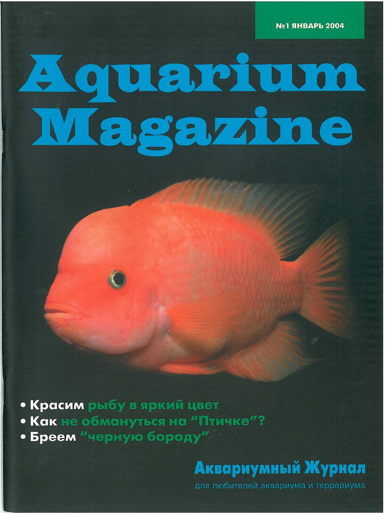 Aquarium Magazine # 1 | PDF