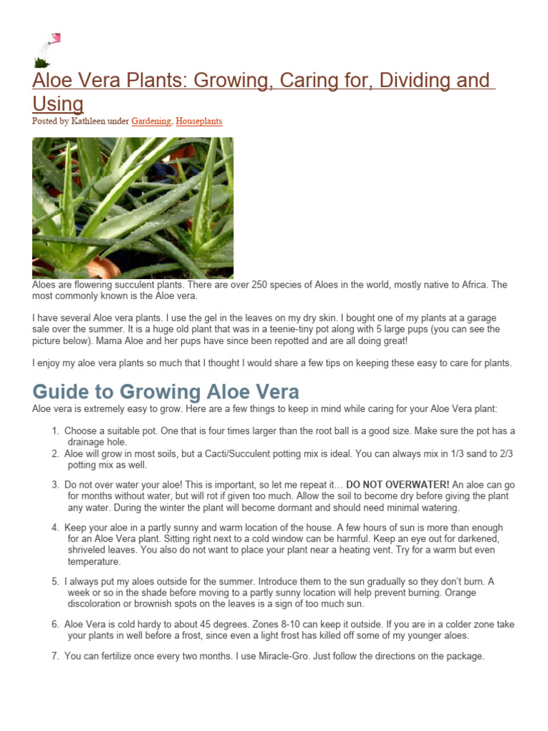 Aloe Vera Plants | PDF | Succulent Plant | Houseplant