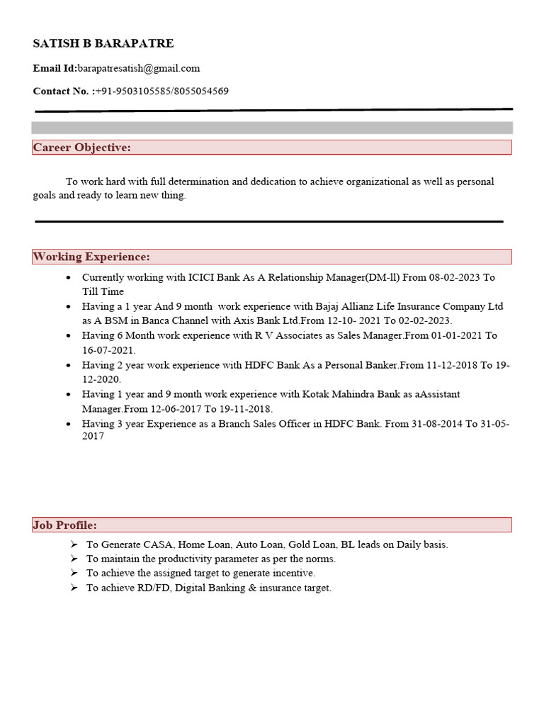 Experienced Banking Professional Resume | PDF | Business | Economies