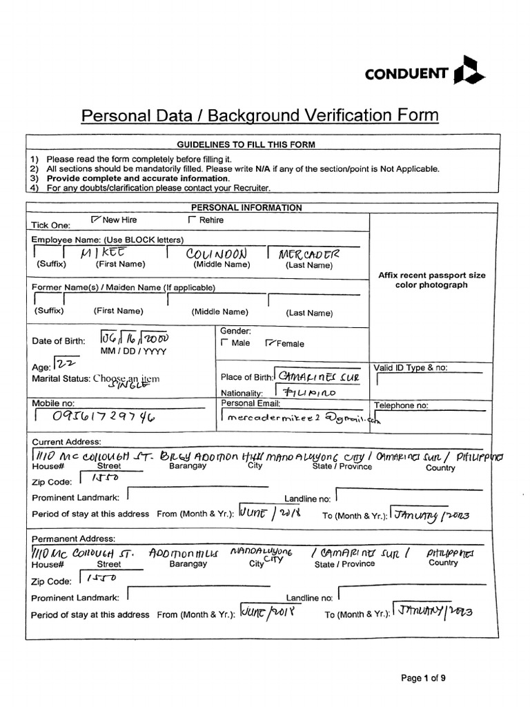 Personal Data Background | PDF
