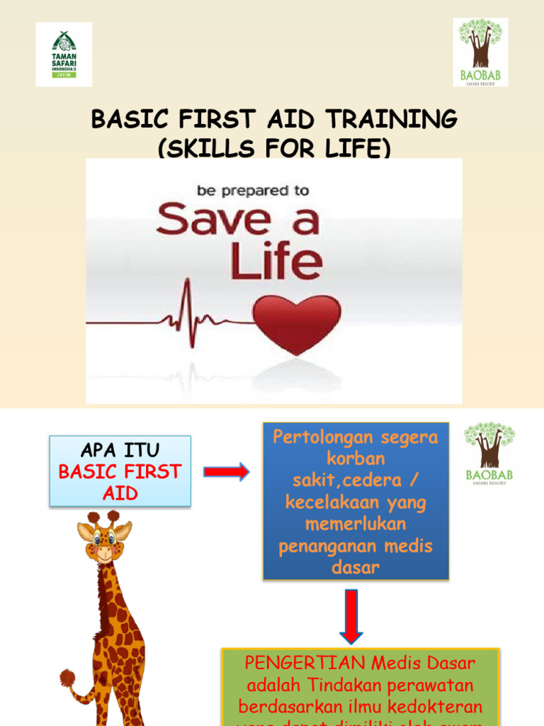 Basic First Aid Training | PDF