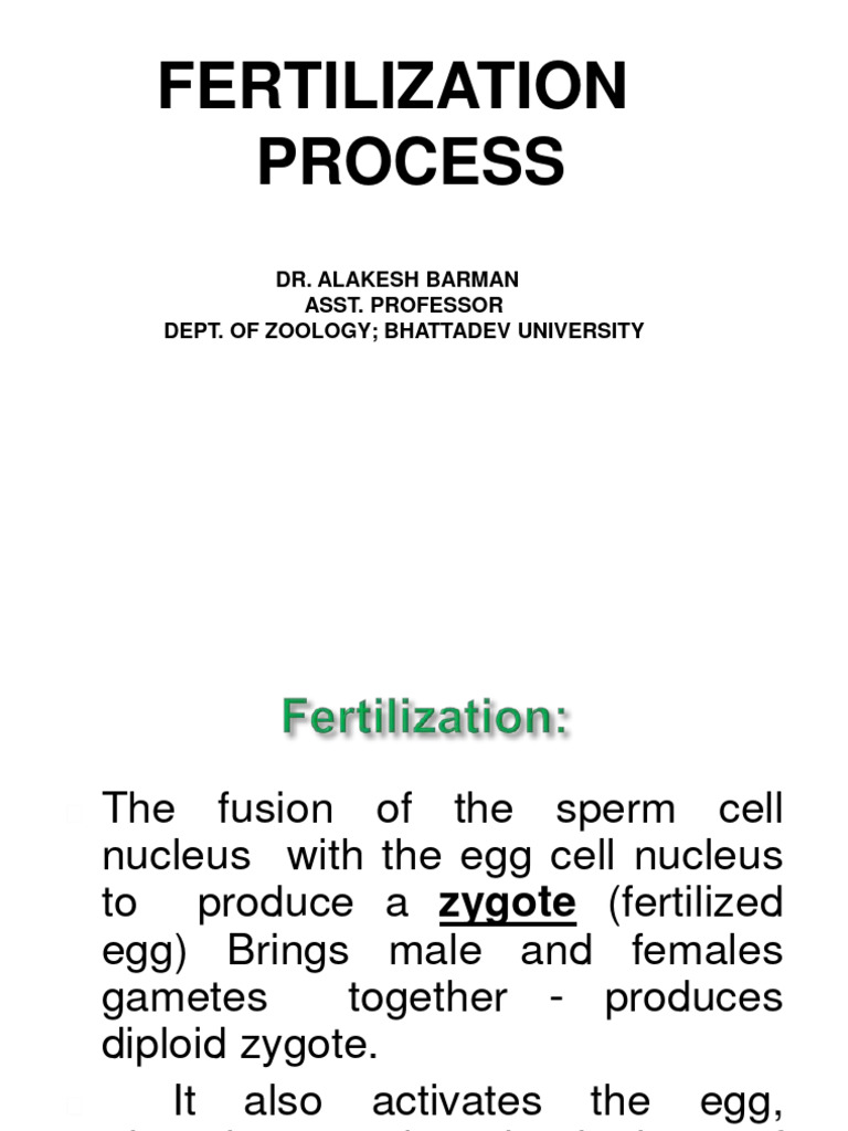 AlakeshBarman_Zoology_PG_2ND_FERTILIZATION | PDF | Fertilisation | Cell ...