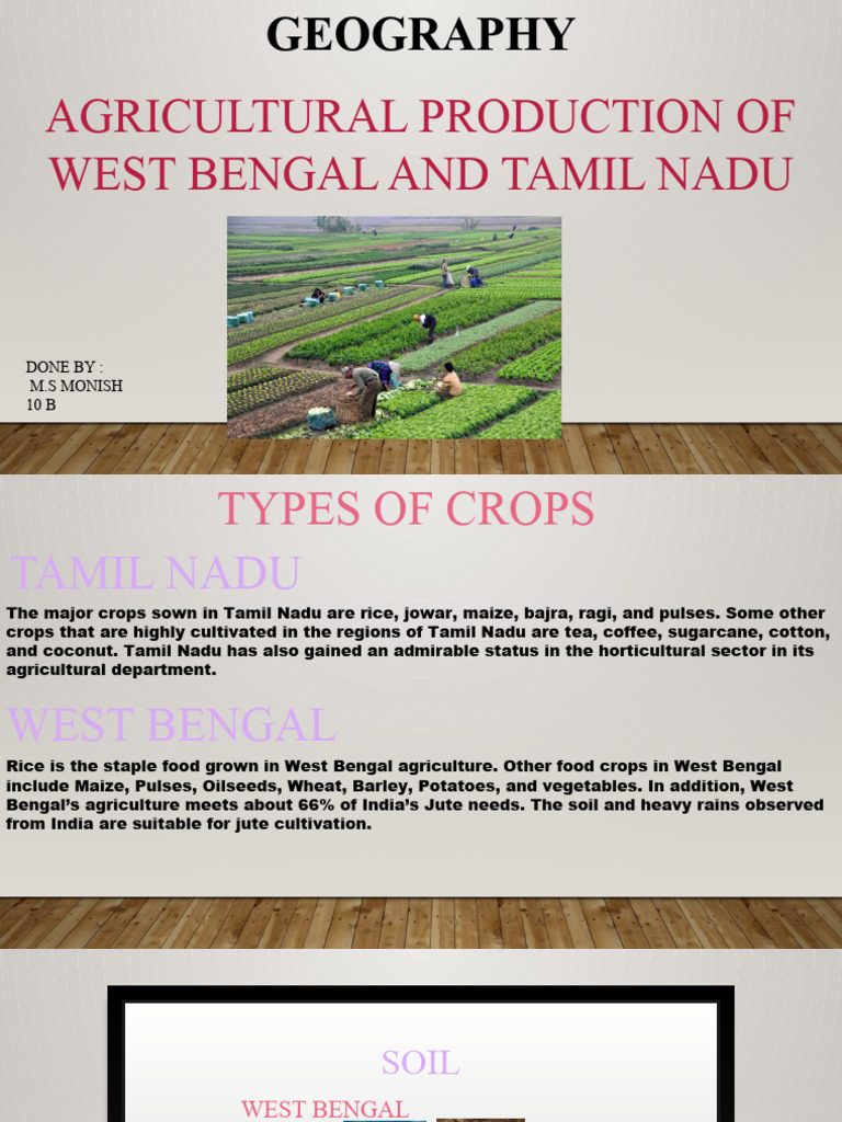 GEOGRAPHY Agricultural Production | PDF | Physical Geography | Food ...