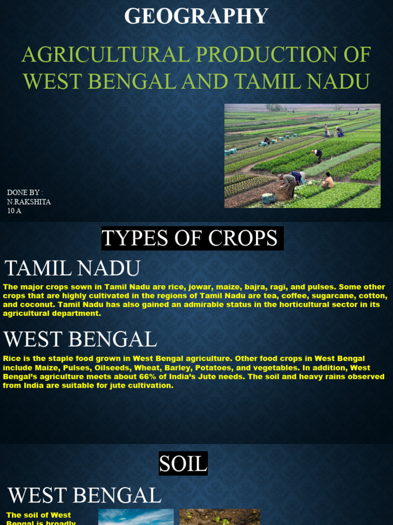 Geography Types of Crops | PDF | Agriculture | Earth Sciences